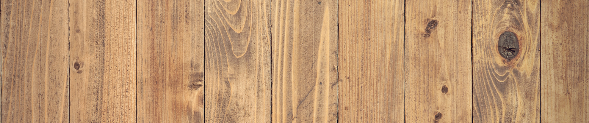 Home » Fireshield Coatings